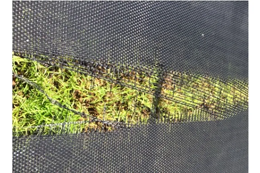 How and when to repair a rectangle trampoline mat - Web and Warehouse
